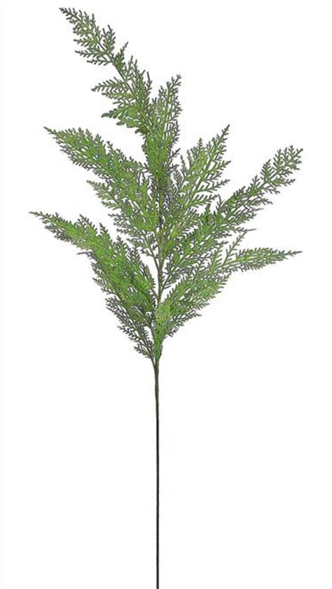 Cedar Spray 44” Greenery Market