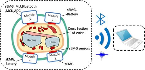 Figure 2 From Feasibility Of Wrist Worn Real Time Hand And Surface