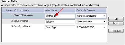 Manual Translation Of Case Monitor V52 Dashboards In Ibm Cognos Rtm V102