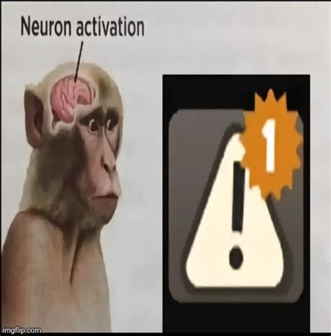 Wrap Assassin Imgflip