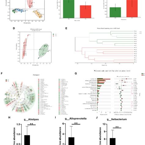 Fmt Alters The Gut Microbiota In Recipient Mice A The Gut Microbiota Download Scientific
