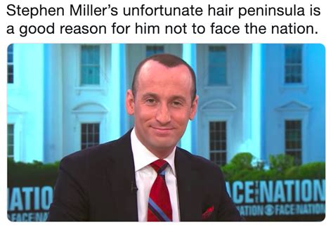 Stephen Millers Unfortunate Hair Peninsula Is A Good Reason For Him