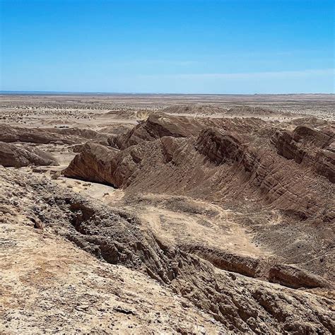 Ocotillo Wells Svra All You Should Know Before Going 2026 With Reviews