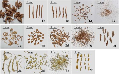 Classification Of Chips In Six Shapes Continuous A Flow B Spiral Download Scientific