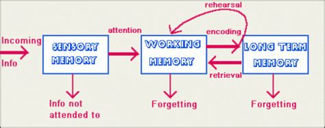 processes don t forget to remember