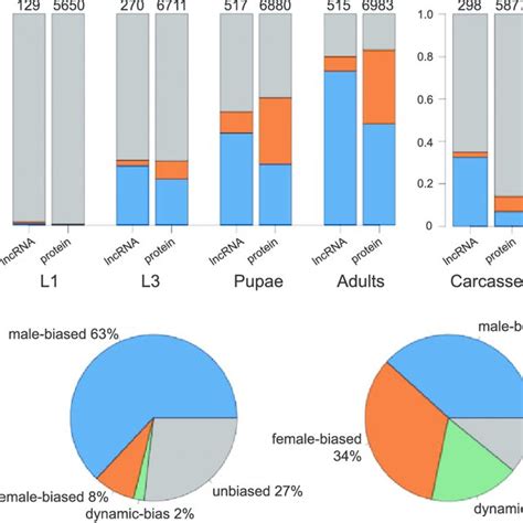 —sex Biased Expression Of Lncrnas Fractions Of Loci That Show Download Scientific Diagram
