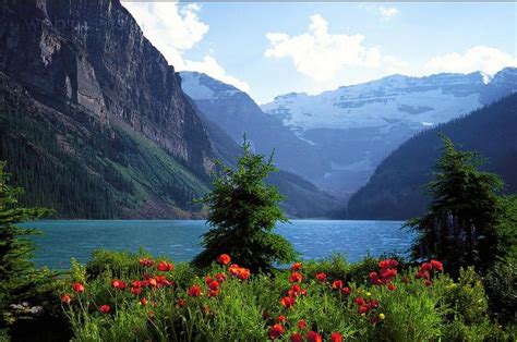 Мир в Фотографии - World In Photo 454 (60 картинок) » Картины ...