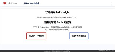 Redisinsight 安装与使用（redis 监控工具）redisinsight安装 Csdn博客