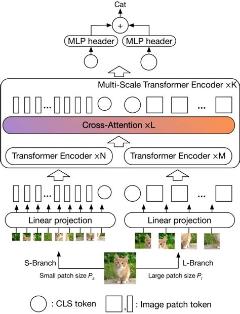 Crossvit Cross Attention Multi Scale Vision Transformer For Image Classification Deepai