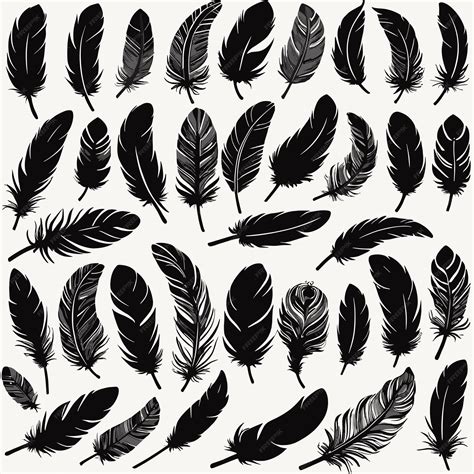 Premium Vector Feather Silhouette Set Illustration Quill Vector