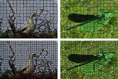 Figure 1 From Adaptive Nonlocal Random Walks For Image Superpixel