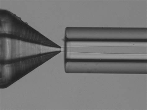 Perform PLGA nanoparticle synthesis using 3D microfluidic hydrodynamic ...