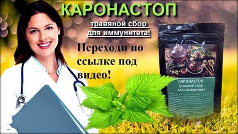 какие травы для иммунитета попить взрослому - YouTube