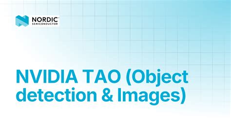 Nvidia Tao Object Detection And Images Nordic