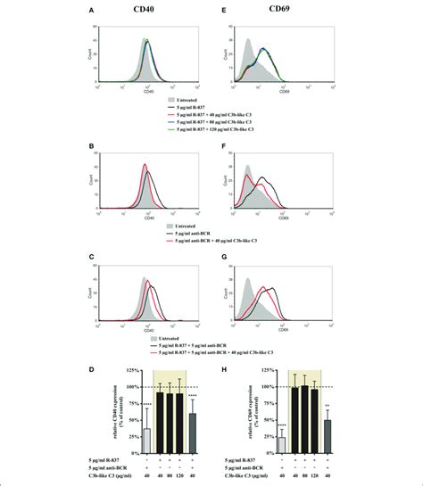 Effect Of Cr1 Clustering On Tlr7 And Bcr Induced Upregulation Of Cd40