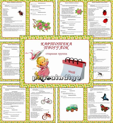 Картотека прогулок для старшей группы МАЙ 21 Июня 2017 Вместе в сад