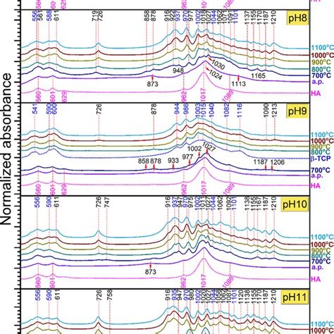 Comparative Ftir Atr Spectra Of β Tcp Rifampicin Form Ii And β Tcp Download Scientific Diagram