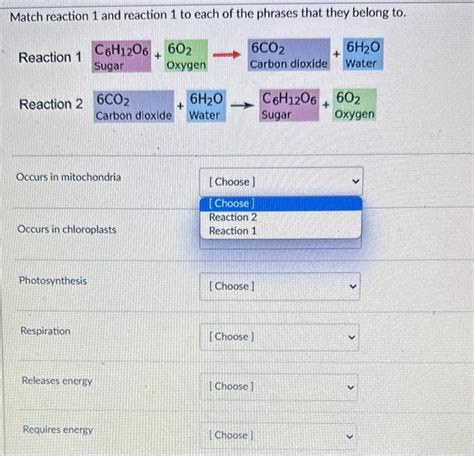 Solved Match Reaction And Reaction To Each Of The Chegg Com