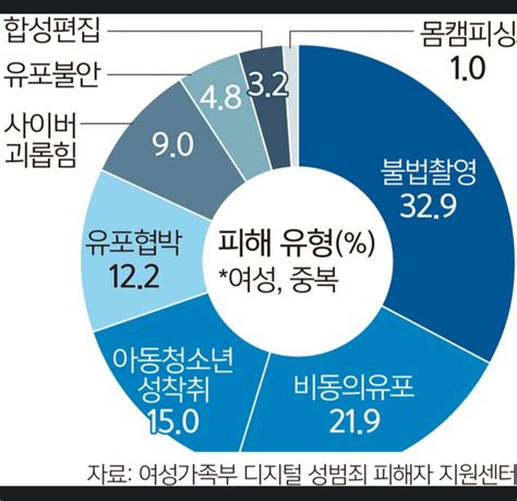디지털 성범죄 피해 유형 및 대응법