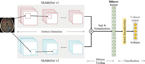 Figure 1 From Bilinear Mobilenets For Multi Class Brain Disease