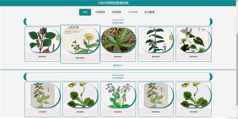Java小型中药药材管理系统毕设源码mysqllwjava中草药管理系统 Csdn博客