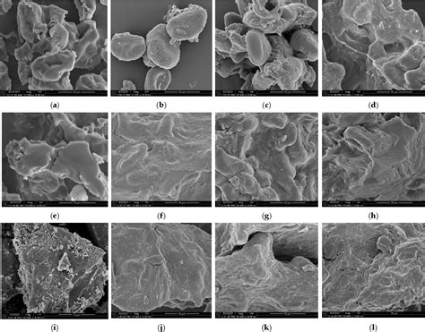 Figure 1 From Structural Properties Of Lotus Seed Starch Nanocrystals Prepared Using Ultrasonic