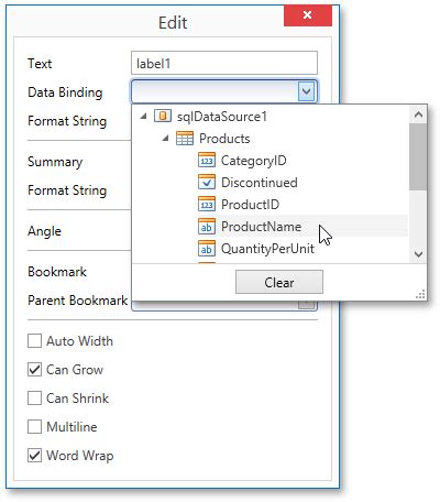 Binding Report Controls To Data DevExpress End User Documentation