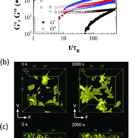A Time Evolution Of Viscoelastic Moduli For Different Rod Volume