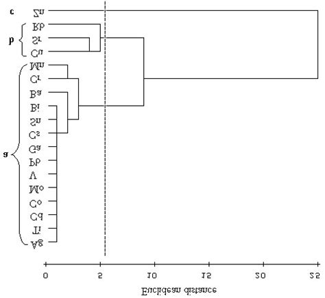 The Dendrogram For Hierarchical Cluster Analysis Derived By Average Download Scientific