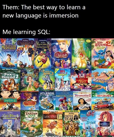 big brain time r programmerhumor