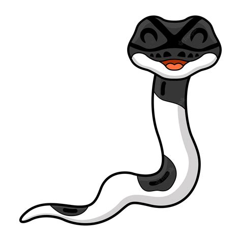 Premium Vector Cute Panda Pied Ball Python Cartoon