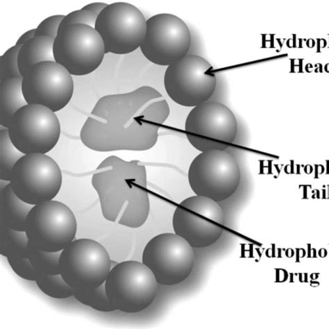 7 Structure Of Transferosomes [23] Source Kombath R V Minumula