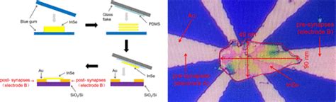 Acs Applied Energy Materials Vol 8 No 10 Acs Publications