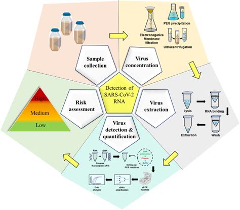 Standard Analytical Steps Carried For The Detection Of Sars Cov 2 Rna