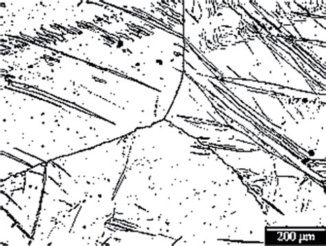 The Grain Structure In The Region Of Deformation [37] Download Scientific Diagram