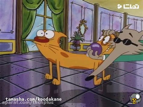 انیمیشن گربه سگکارتون قدیمی فیلو