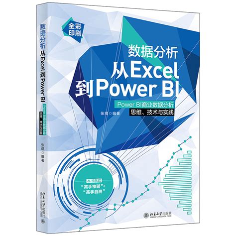 数据分析从excel到power Bi：power Bi商业数据分析思维、技术与实践 虎窝淘