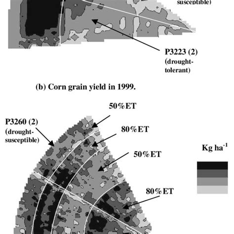 Spatial Variability Of Corn Grain Yields In A 1998 And B 1999 Download Scientific Diagram