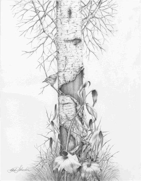Scary Tree Drawing At PaintingValley Com Explore Collection Of Scary Tree Drawing