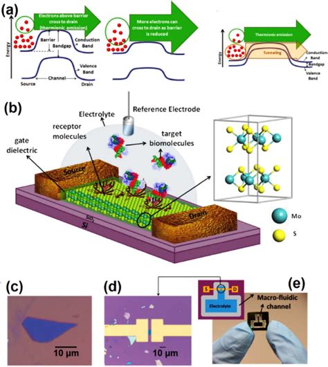 A Illustration Of Bandgap Effects Of Graphene Fet Biosensor B Download Scientific Diagram