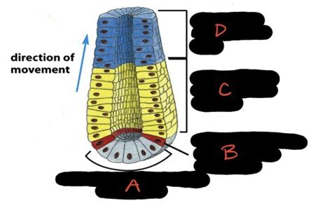 Lecture Powerpoint Flashcards Quizlet