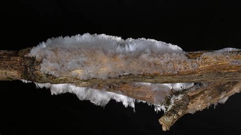 Ice Formation Icy Winter Natural Free Photo On Pixabay