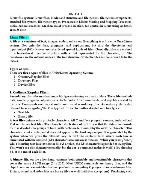 Lsp Unit 3 Pdf File System Computer File
