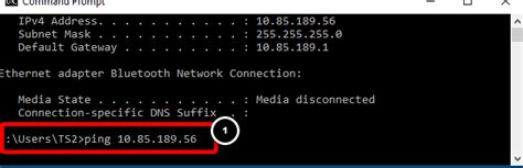Resolving Sql Errors On A Network Database Myovision Technical Support