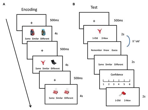Frontiers Multiple Exposures Enhance Both Item Memory And Contextual Memory Over Time