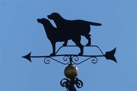 10000 Free Wind Vane And Wind Images Pixabay