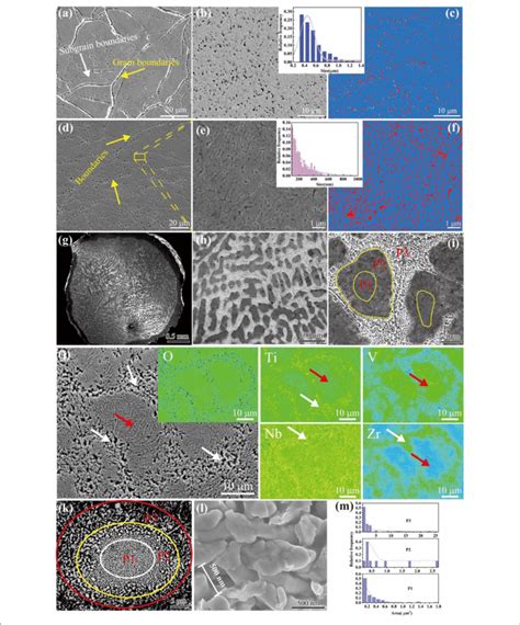 Microstructural Evolution Of Nbtivzr Alloy At Elevated Temperature