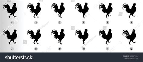 cock walk cycle animation sequence loop stock vector royalty free