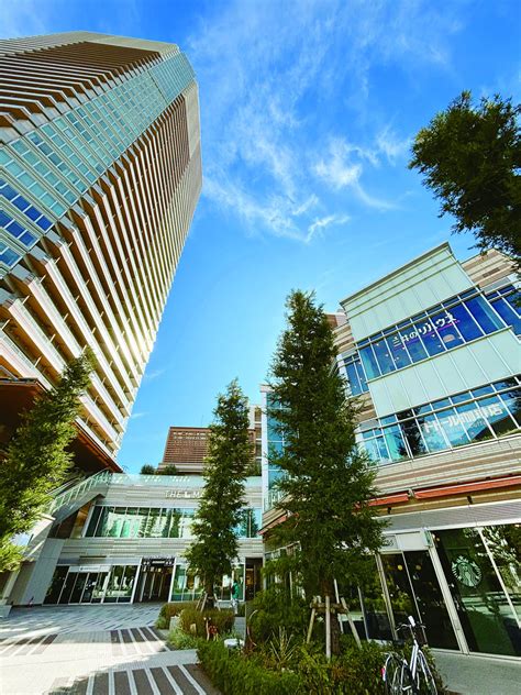 【三井のリハウス】旗の台センターの店舗情報