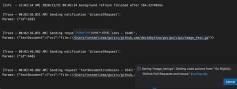 Xtoolsgopls Slow Packagesloads With Cgo · Issue 43560 · Golanggo